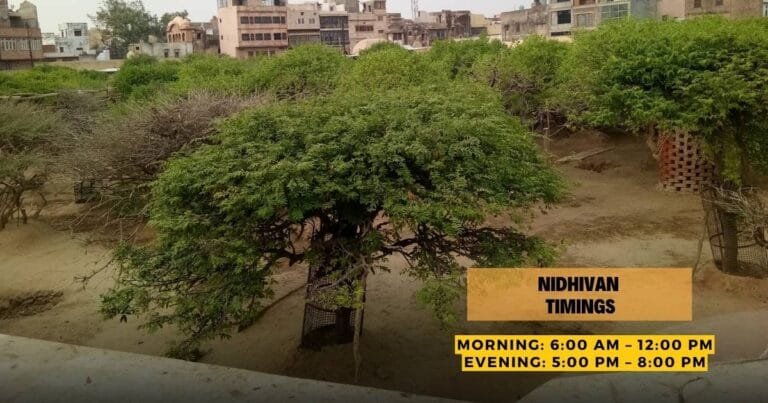 Nidhivan Timings Vrindavan: Timings, Location and Entry - Mathura ...